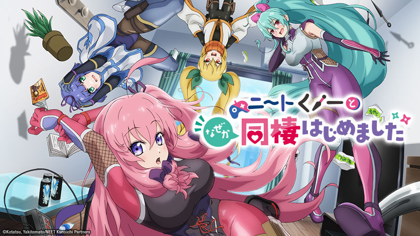 Anime Streaming News | HIDIVE